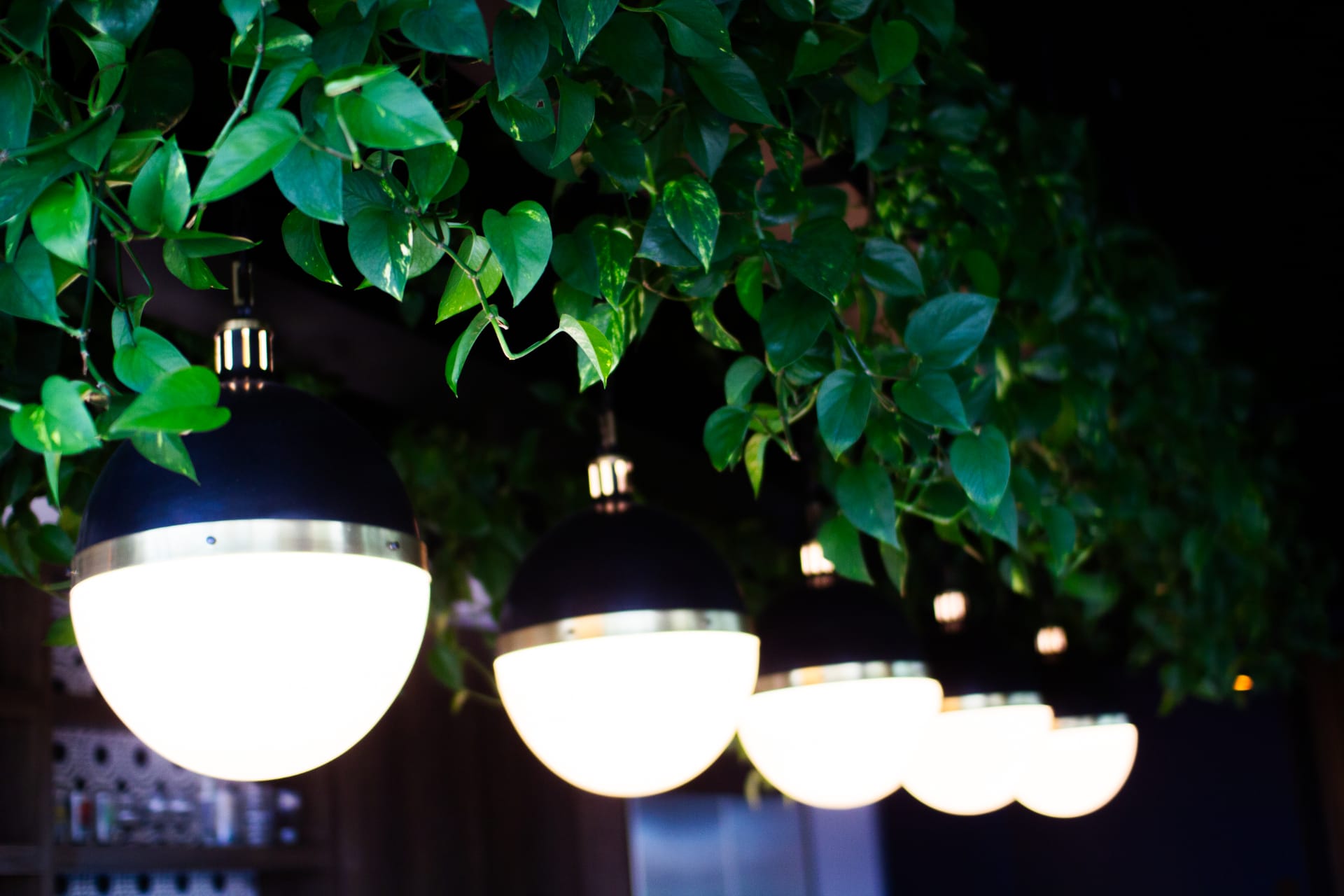 Biophilic Interior Design for Kodiak BP | Case Study