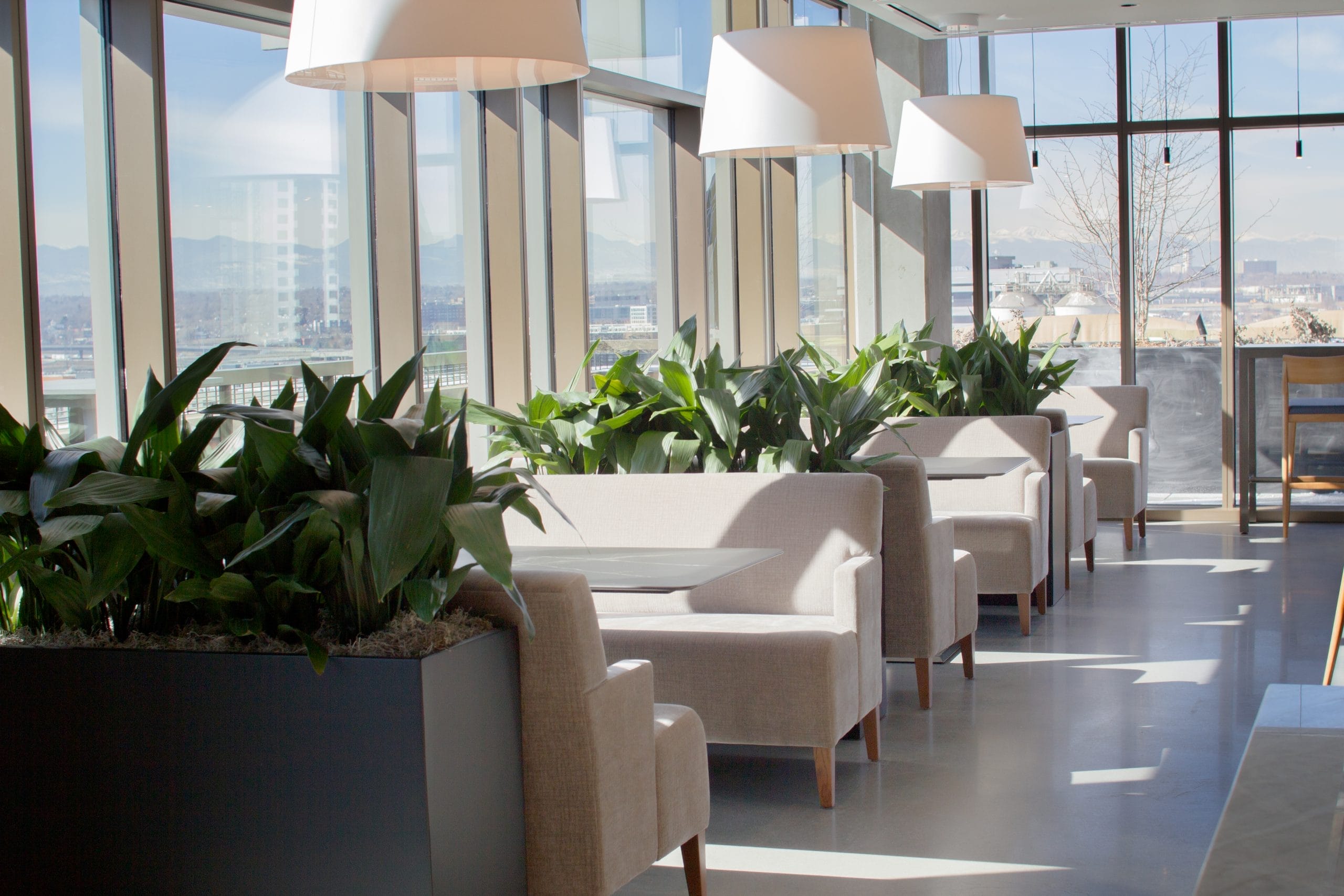 Biophilic Design for Davis Graham Office | Case Study